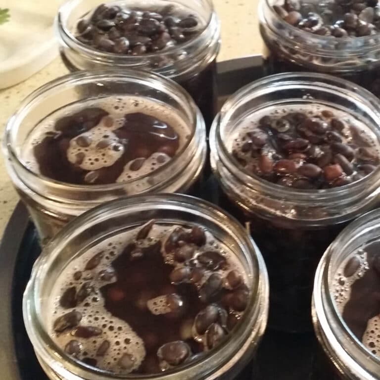 Pressure Canning Black Beans - Bramble Wine Cottage