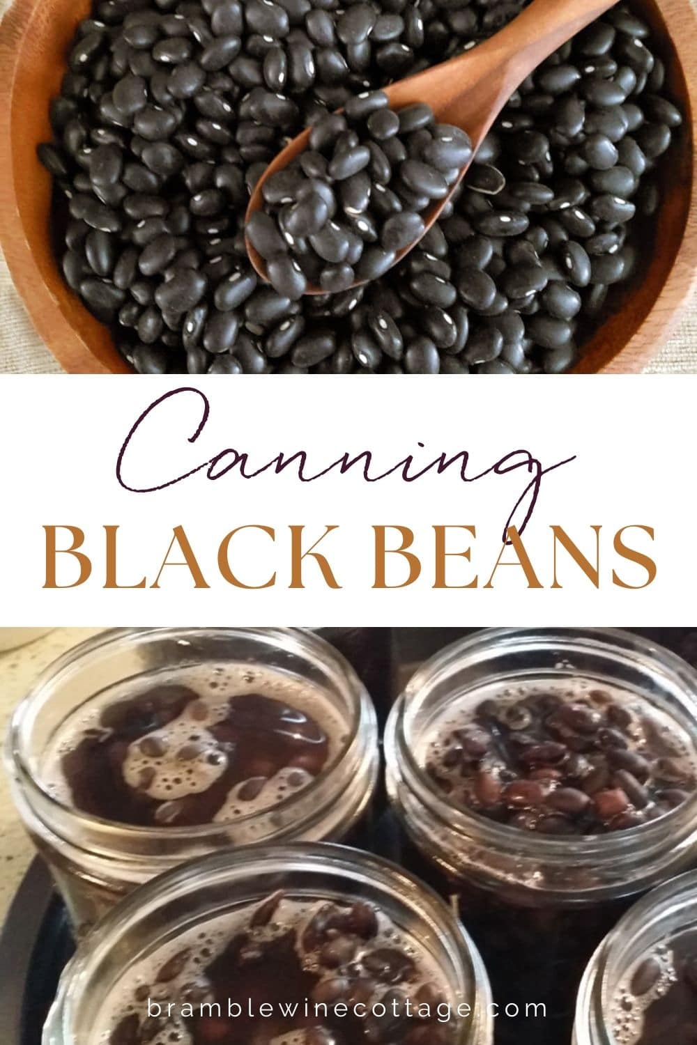 Pressure Canning Black Beans - Bramble Wine Cottage