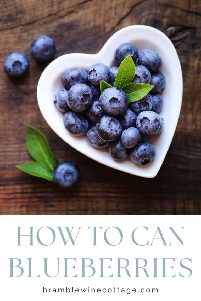 Canning Blueberries Step-by-Step - Bramble Wine Cottage