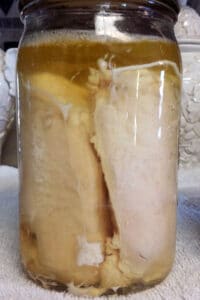 Chicken Canning Basics ~ An Easy Guide - Bramble Wine Cottage