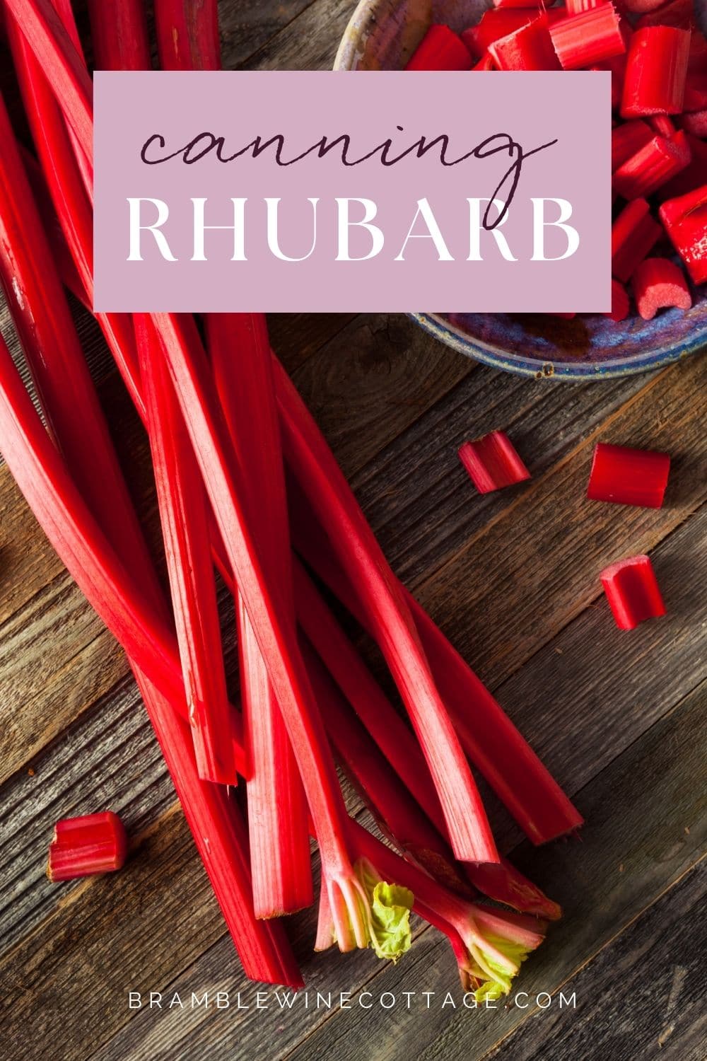 Easy No-Fuss Guide to Canning Rhubarb - Bramble Wine Cottage