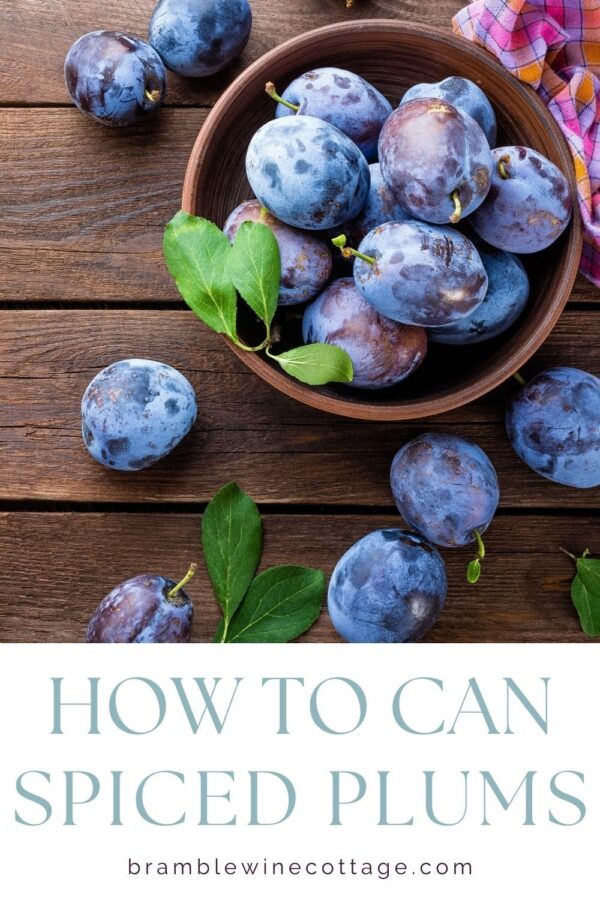 Canning Spiced Plums Step-by-Step - Bramble Wine Cottage