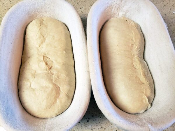 Italian Style Bread Recipe for Beginners - Bramble Wine Cottage