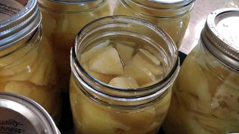 Canning Potatoes in a Pressure Canner - Bramble Wine Cottage