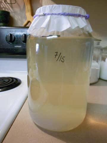 How to Make Water Kefir - Bramble Wine Cottage