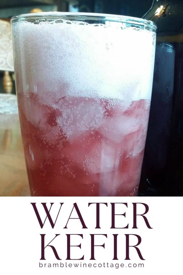 How to Make Water Kefir - Bramble Wine Cottage