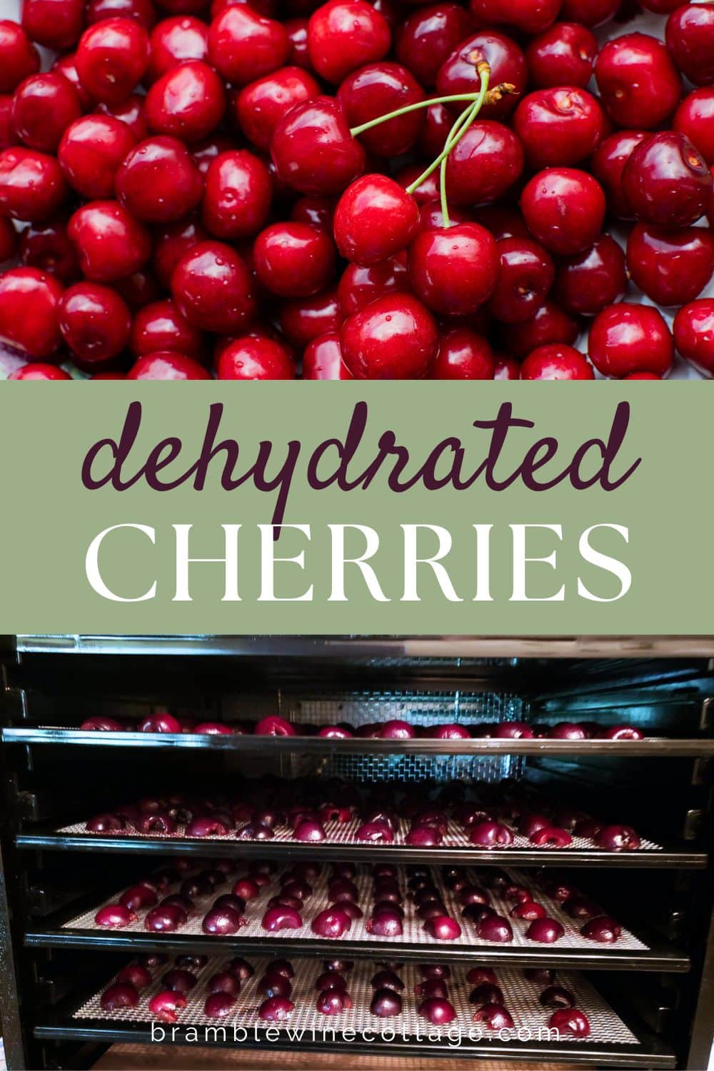 Dehydrating Cherries: A Simple Guide to Preserving Sweetness - Bramble ...