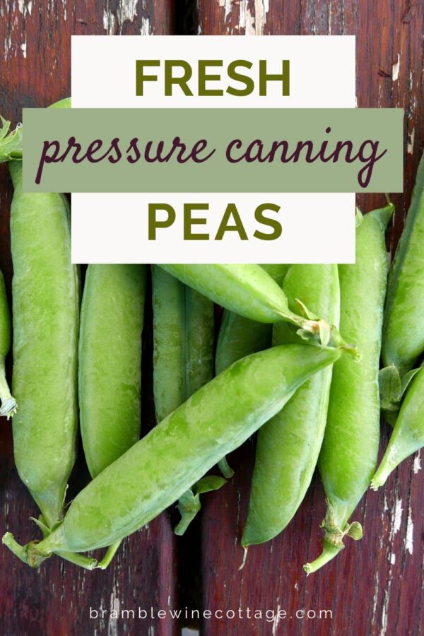 Pressure Canning Peas for Fresh Flavor All Year Long - Bramble Wine Cottage