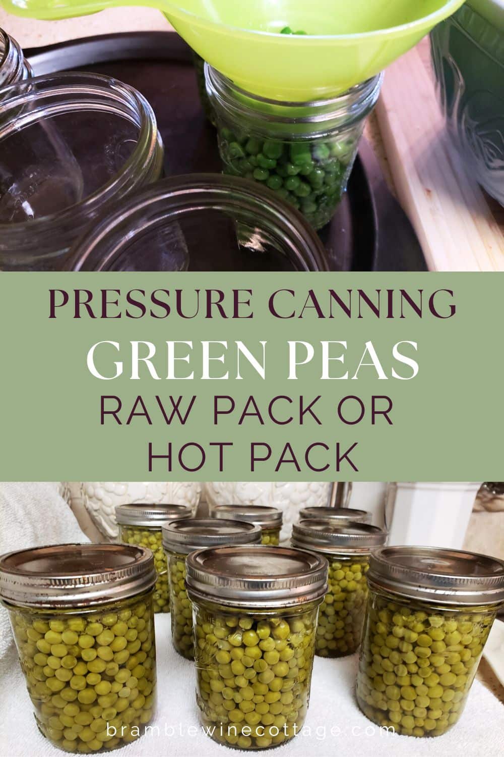 Pressure Canning Peas for Fresh Flavor All Year Long - Bramble Wine Cottage