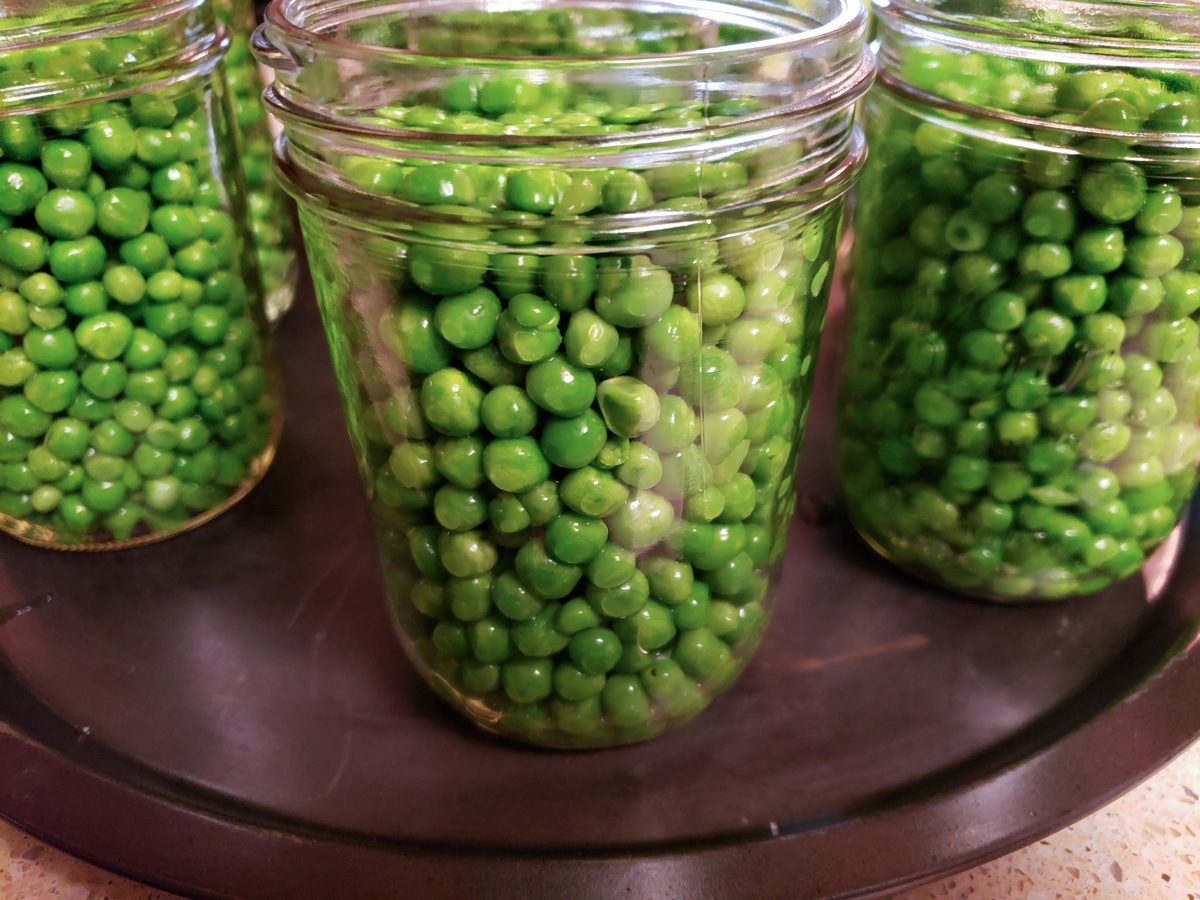 Pressure Canning Peas for Fresh Flavor All Year Long - Bramble Wine Cottage