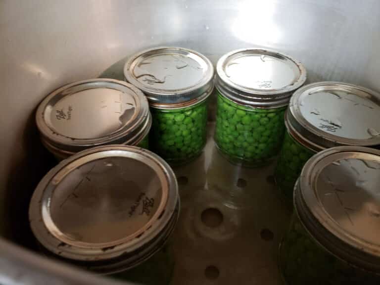 Pressure Canning Peas for Fresh Flavor All Year Long - Bramble Wine Cottage