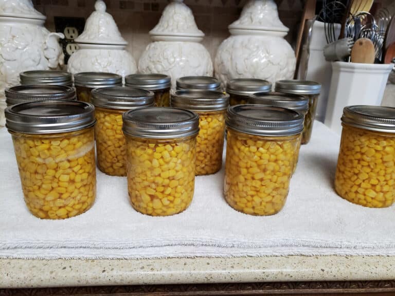 Pressure Canning Corn at Home: Raw Pack or Hot Pack Method - Bramble ...